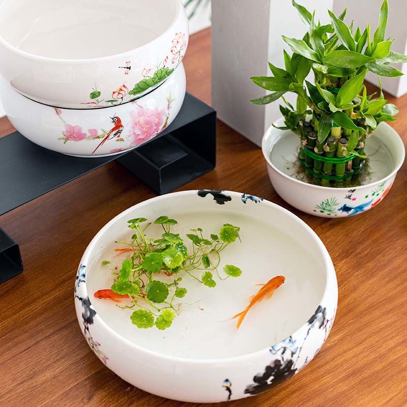 Hydroponic Flowerpot Hydrocotyle Bowl Lotus Narcissus Tazhu Green ...