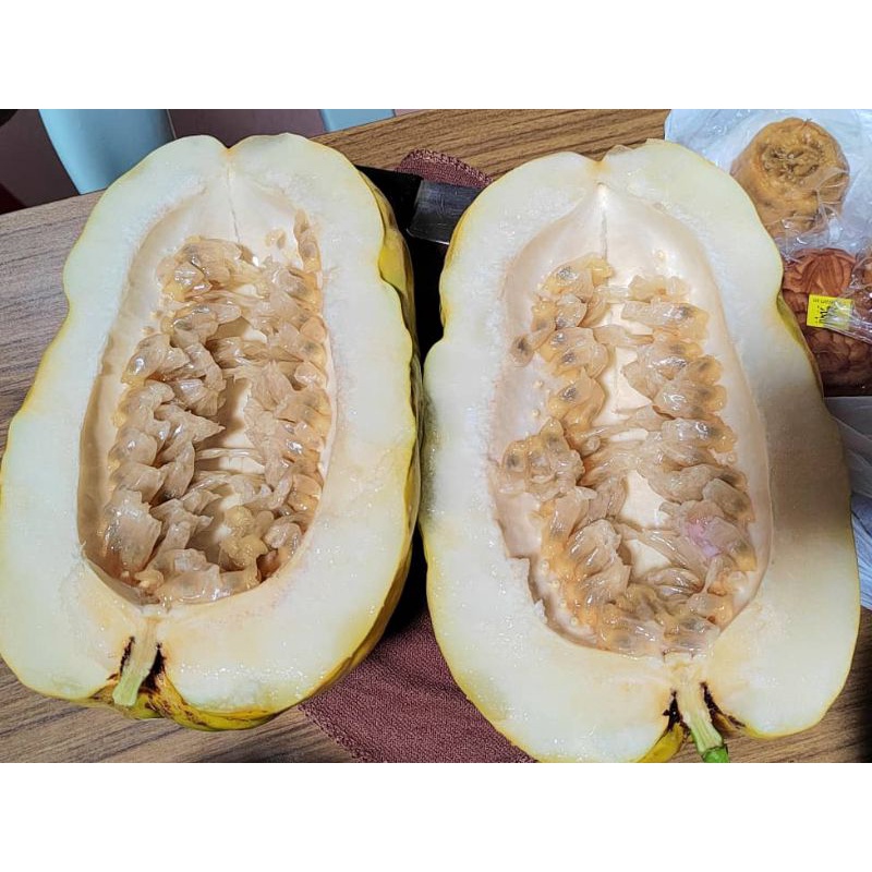 Markisa Jumbo. 超大百香果种子 | Shopee Malaysia