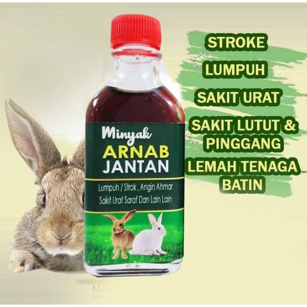 MINYAK ARNAB JANTAN 30ML UTK LUMPUH STROK ANGIN AHMAR SAKIT URAT SARAF ...