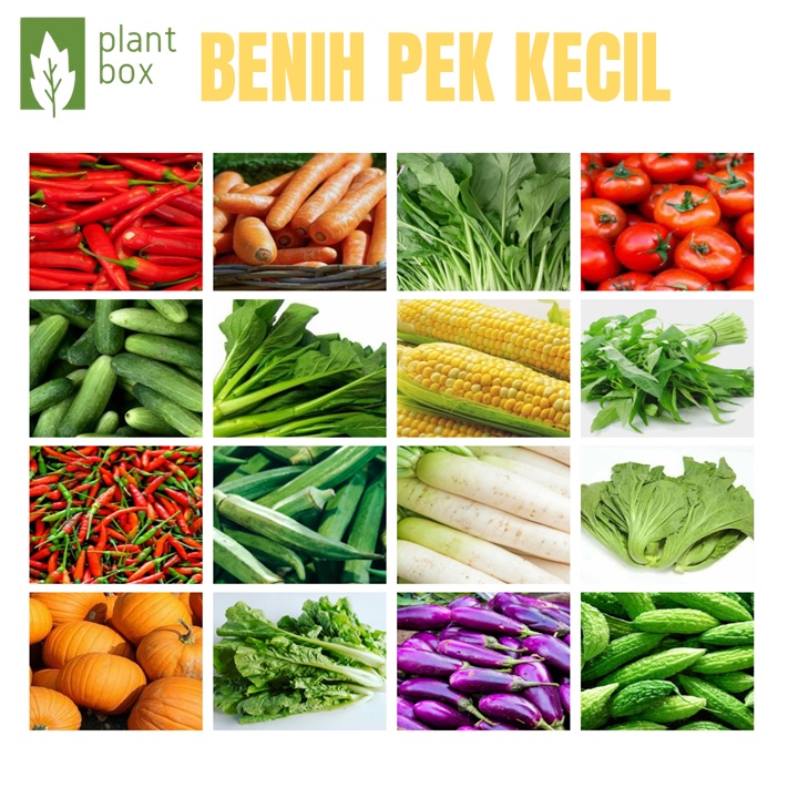 Pilihan Benih Sayur & Buah Pek Kecil / Sawi Betik Tembikai Petola Peria ...