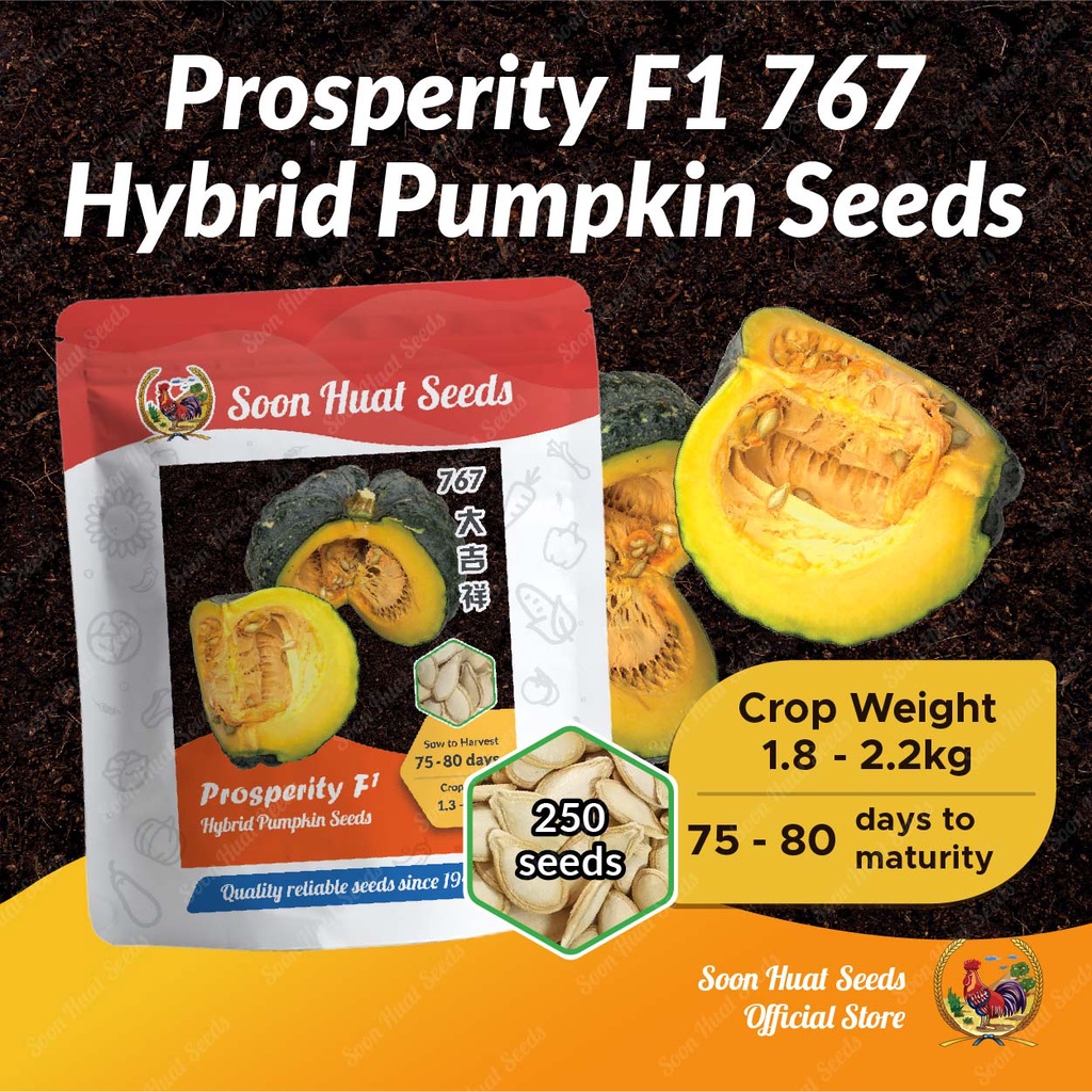 [20g] 767 Benih Labu Manis Pumpkin Prosperity Soon Huat Seeds | Shopee ...