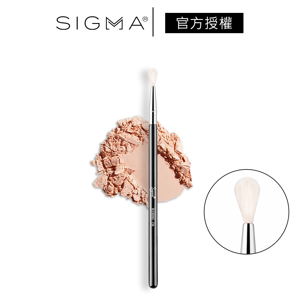 Sigma E36 Precise Eye Socket Eyeshadow Brush Smudge Color-Laying Tool ...