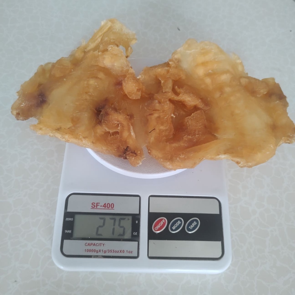 【顶级花胶】深海大龙趸花胶 DRIED DRY LONG DAN FISH MAW 龙趸花胶 | Shopee Malaysia