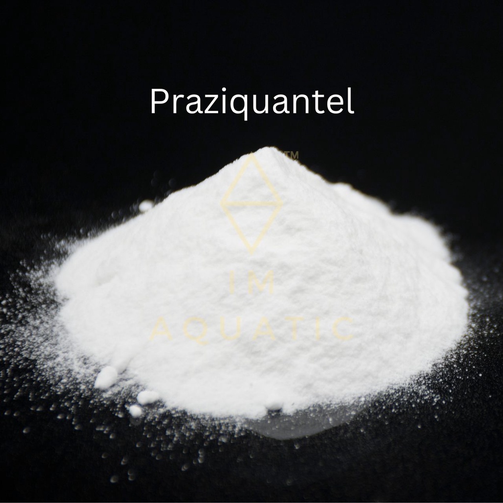 Aquarium | Praziquantel | Fish Dewormer | Ubat Perut Ikan | Shopee Malaysia