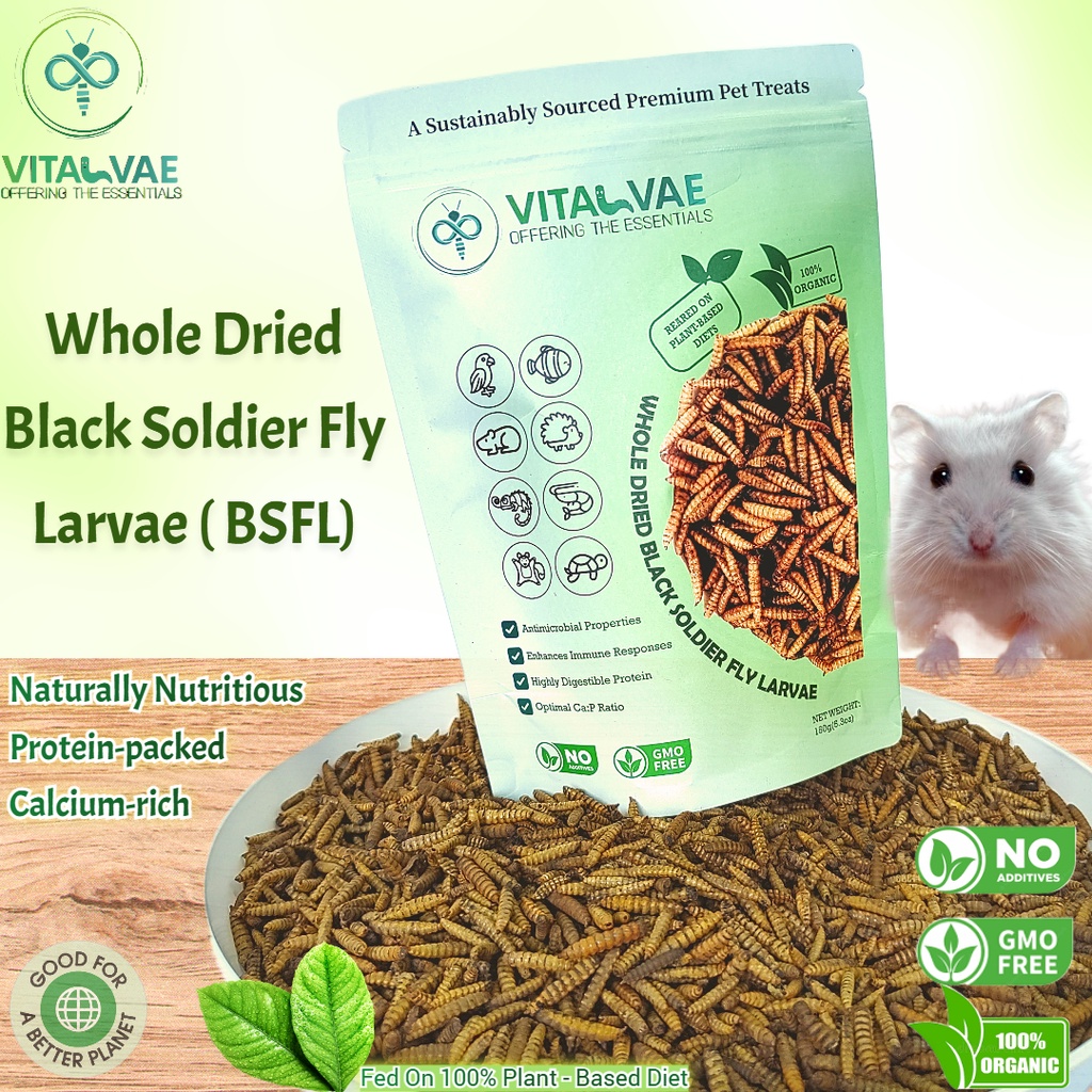 VitalVae 150g Whole Dried Black Soldier Fly Larvae [BSFL] Pet Treats ...
