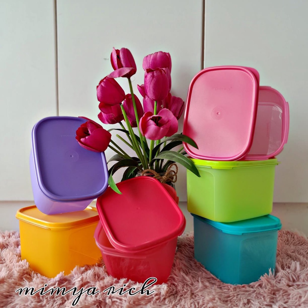 Tupperware Modular Mates Mini Rectangular 1.9L (1 Pcs) | Shopee Malaysia