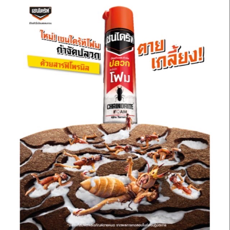 Chaindrite Foam original thailand new stock | Shopee Malaysia