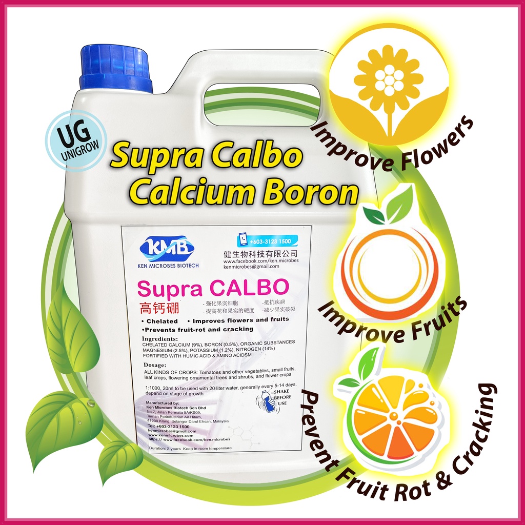(5 Liter) Supra Calbo Chelated Calcium Boron Lekat Bunga Buah Kurang ...