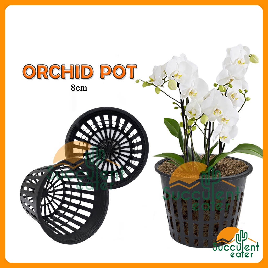 Orchid Plastic Flower Pot Pasu Bunga Okid Gafri 蝴蝶兰花盆 | Shopee Malaysia