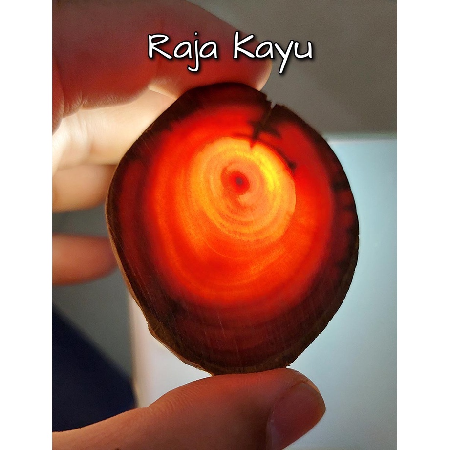 Raja Kayu Merah Asli Gred AAAA (100% ORIGINAL) Damar Minyak | Shopee ...