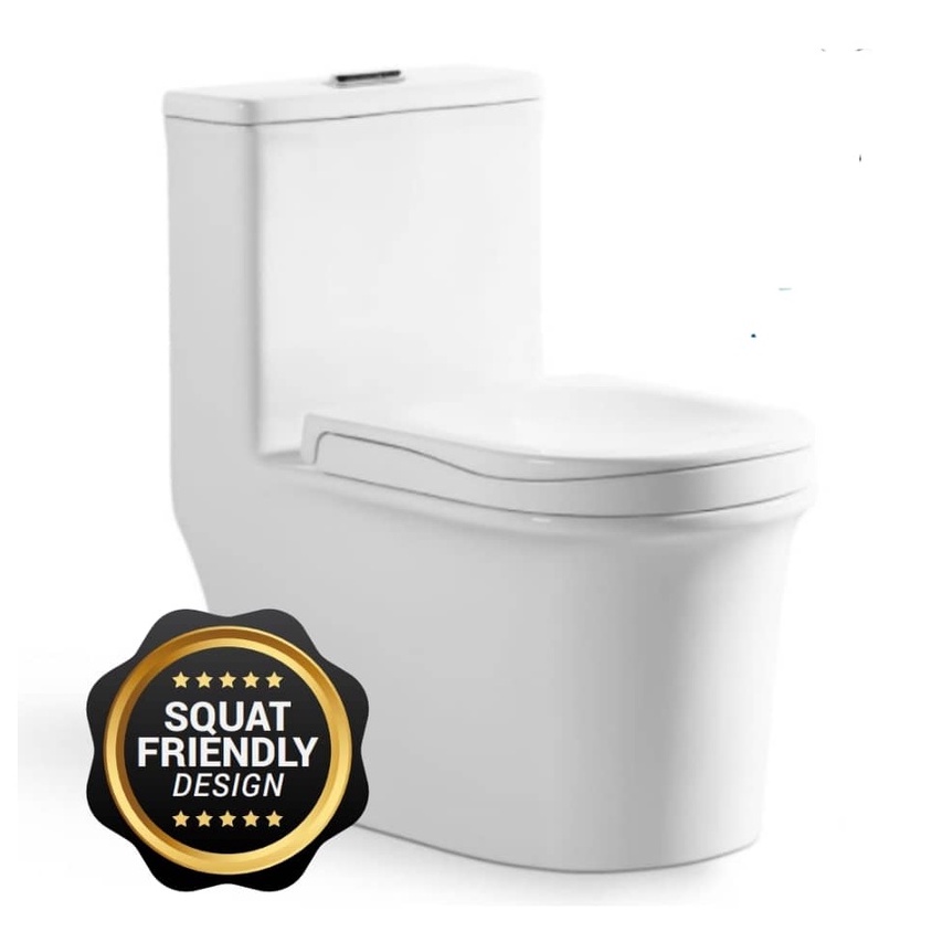 SANIWARE WC2096A S300MM SYPHONIC SQUATING WATER CLOSET | Shopee Malaysia