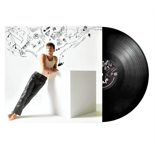 Charlie Puth - CHARLIE ( Vinyl / LP ) | Shopee Malaysia