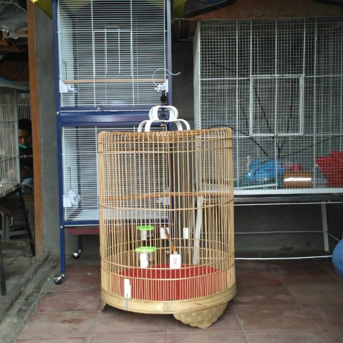 Magpie Bird Cage no. 3 an 2 Place To Eat And Drink | Shopee Malaysia