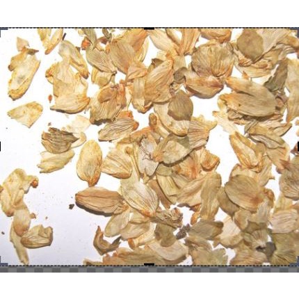 dried common hops flower petals (humulus lupulus) Cascade bunga herbs ...