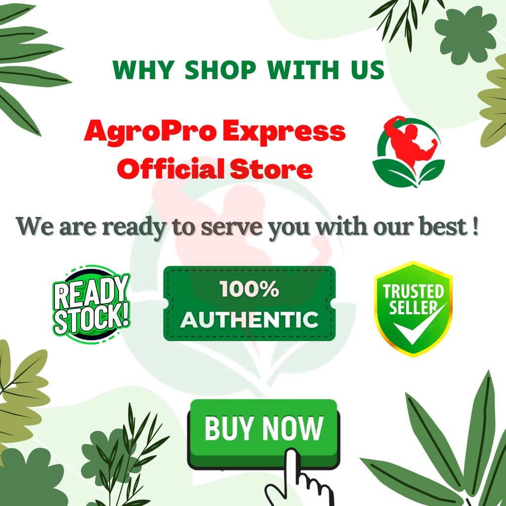 Bayer Monceren 25WP 500G Racun Kulat Fungicide / Pencycuron 25% / Kulat ...