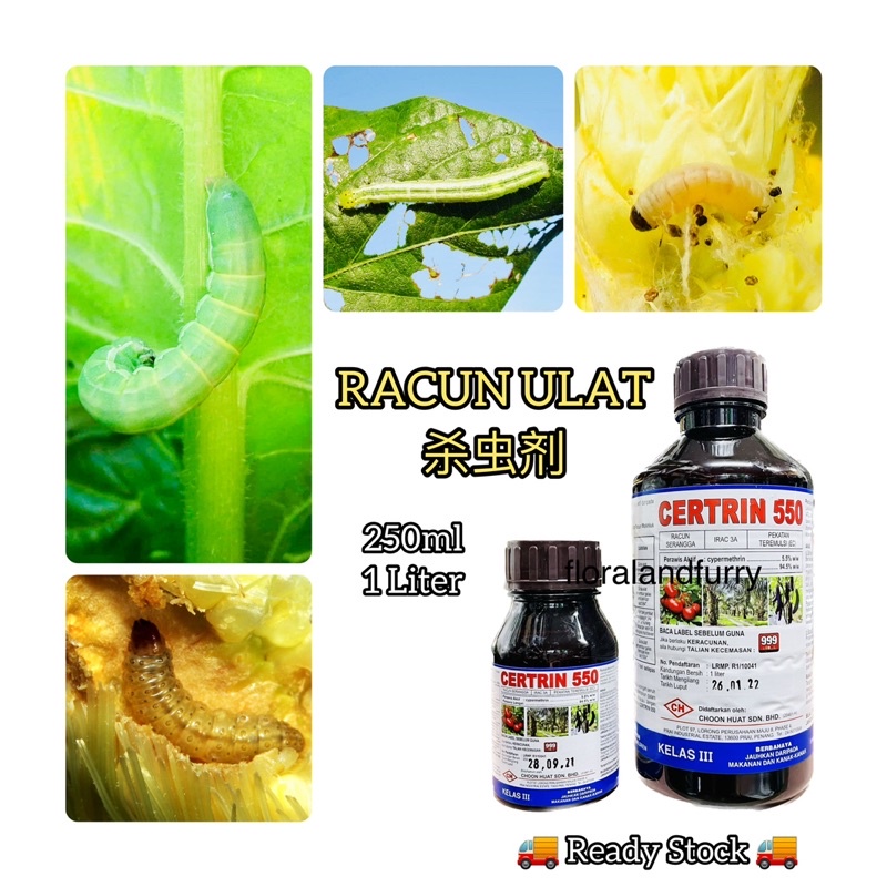250ml 1L Certrin 550 Racun Ulat Pengorek Batang Buah Daun Cypermethrin ...