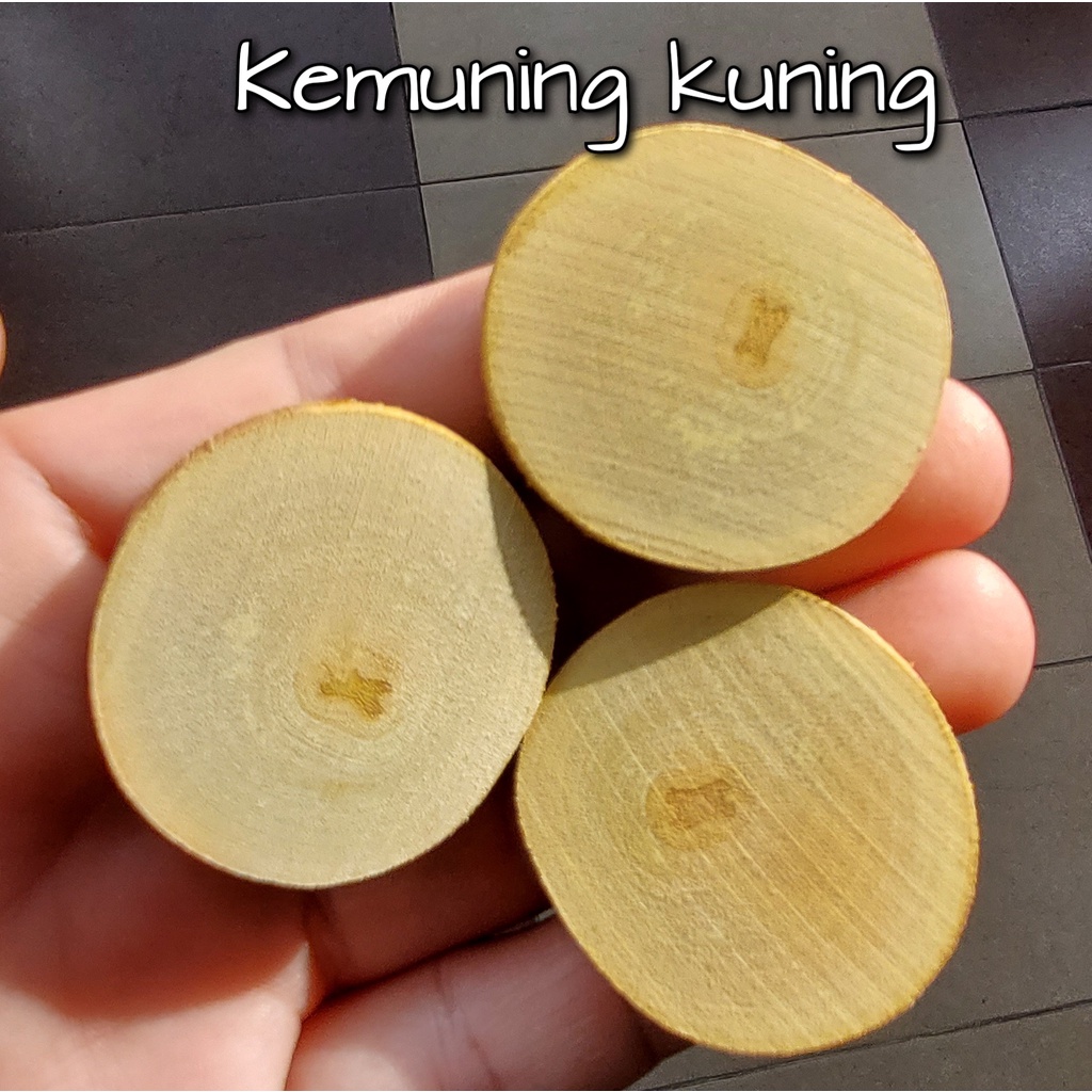 Kayu Kemuning kuning | Shopee Malaysia