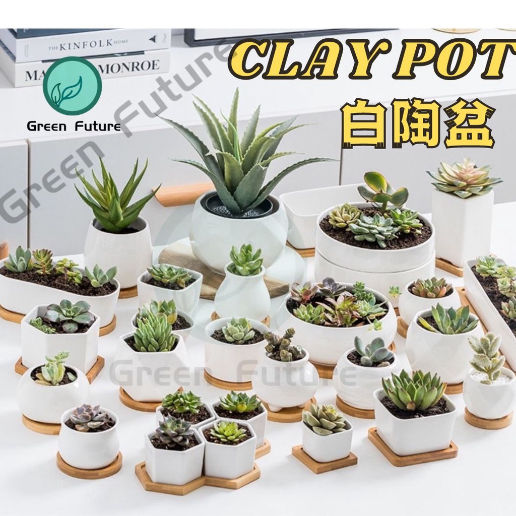 Succulent Pot Cactus Pot Ceramic Pot Zakka Minimalism Planter Pasu ...