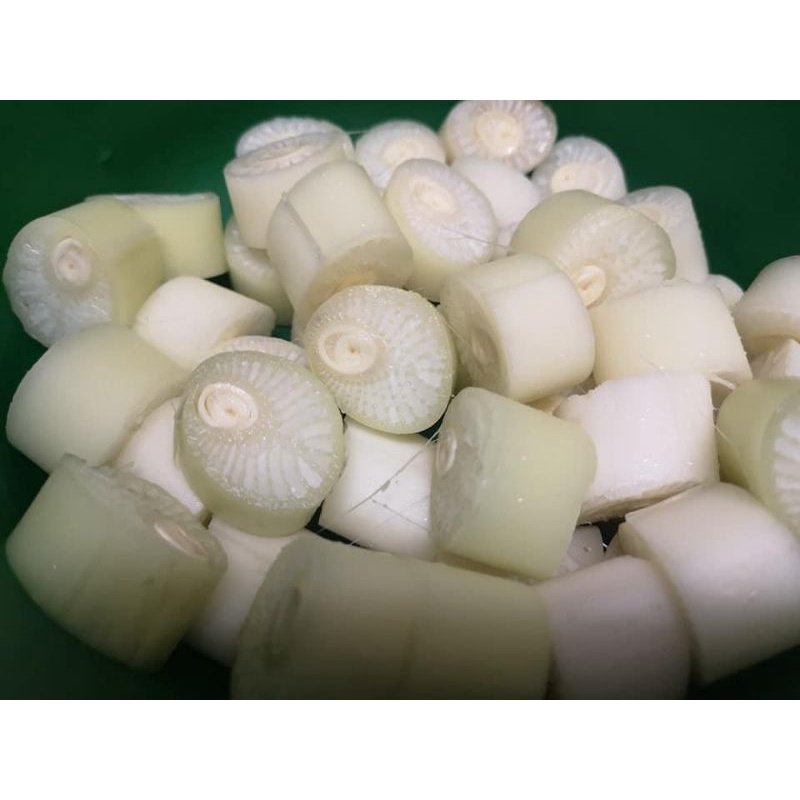 UMBUK PISANG HUTAN / RIAS PISANG | Shopee Malaysia