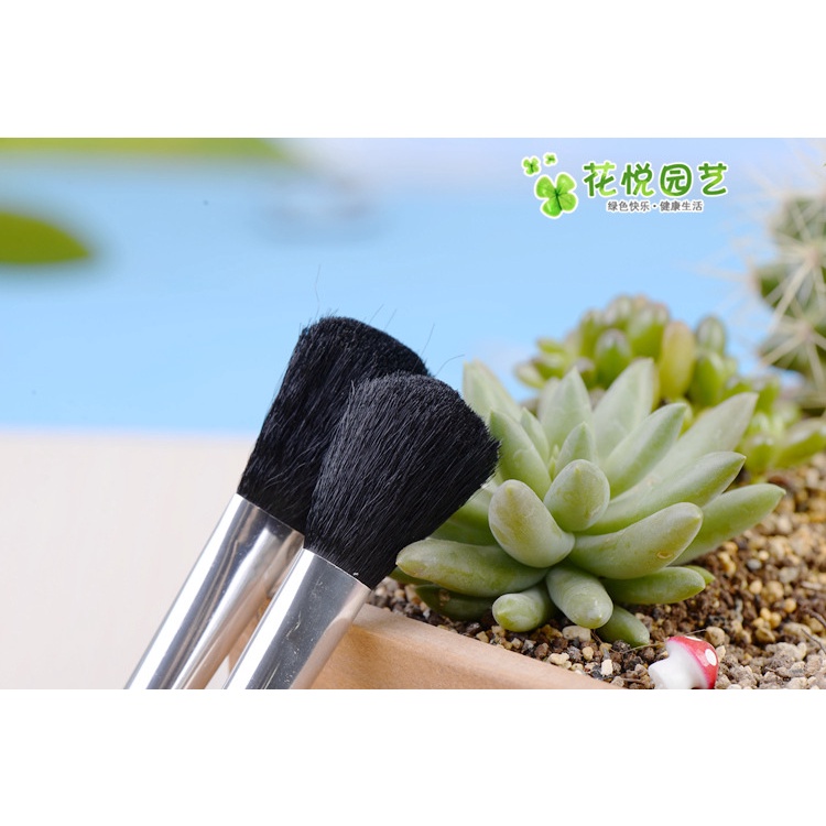 Mini for Succulent Terrarium Bonsai brush Cake Mini Cute Decor PLANTING ...