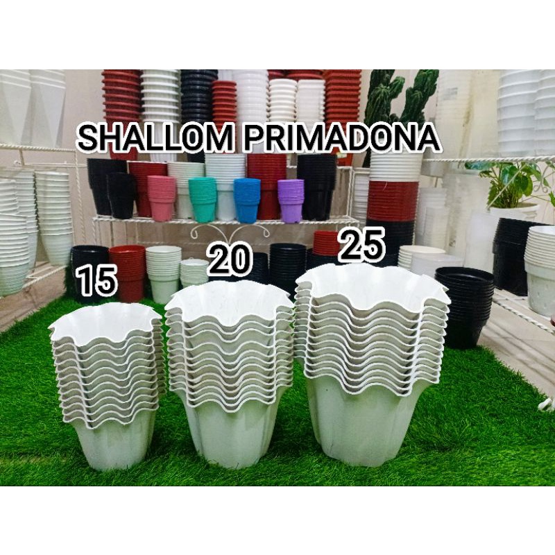 Primadona 15 20 & 25 1 Dozen Pots (12 PCS) | Shopee Malaysia