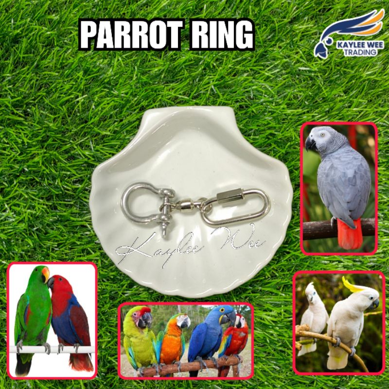 PARROT RING 1SET (READY STOCK) | Shopee Malaysia