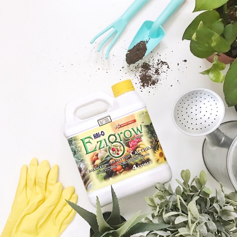 BAJA TUMBUHAN | HAI-O EZIGROW FERTILIZER | Shopee Malaysia