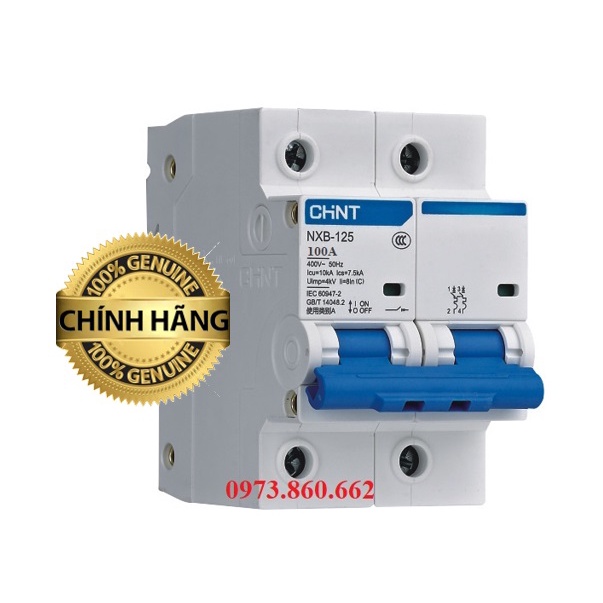 Mcb 2P 3P 4P 100A CHINT NXB-125 - Ace High Power Rail | Shopee Malaysia