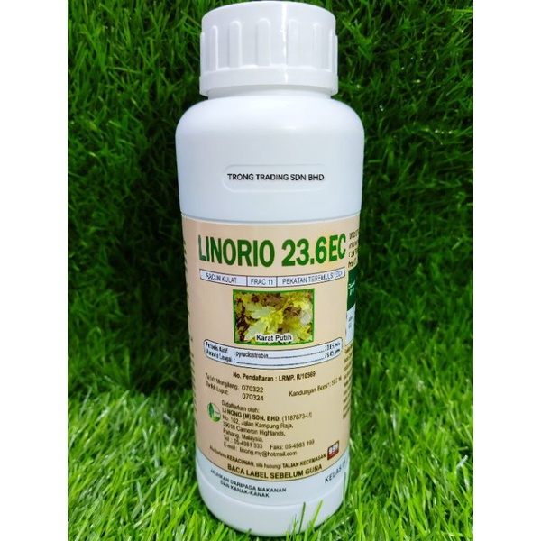 LINORIO 23.6 EC 500ML / A.I:pyraclostrobin 23.6% / Sejenis Cabrio ...