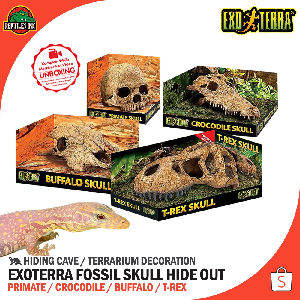 Exoterra Skull / Hiding Place Decoration of Gecko Lizard Snake Reptile ...