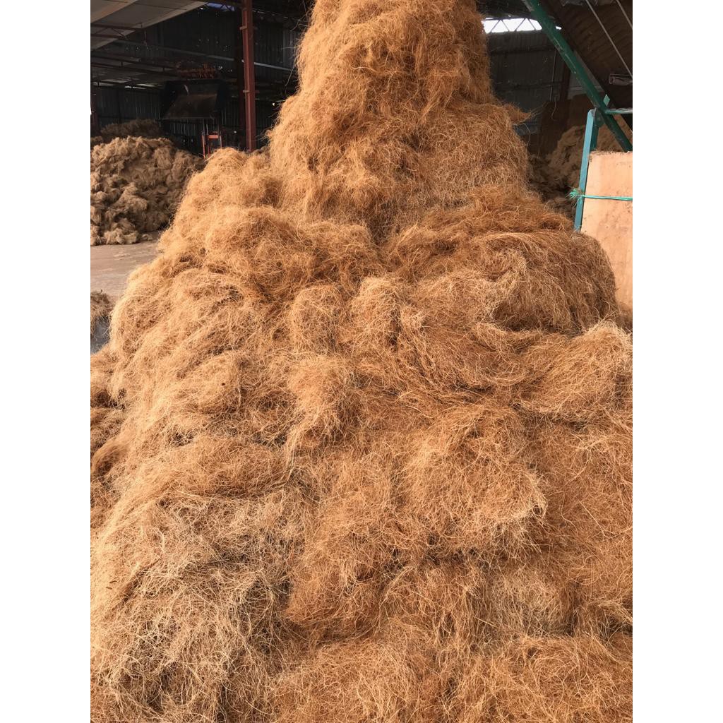 1 Guni Cocopeat Sabut Kelapa Natural and Organic Fine Soil Medium ...