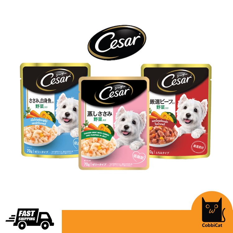 CESAR Dog Pouch 60g / 70g Wet Food | Shopee Malaysia