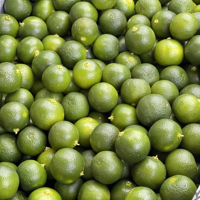 3.5kg Calamansi Lime / Limau Kasturi / 桔子酸柑 | Shopee Malaysia