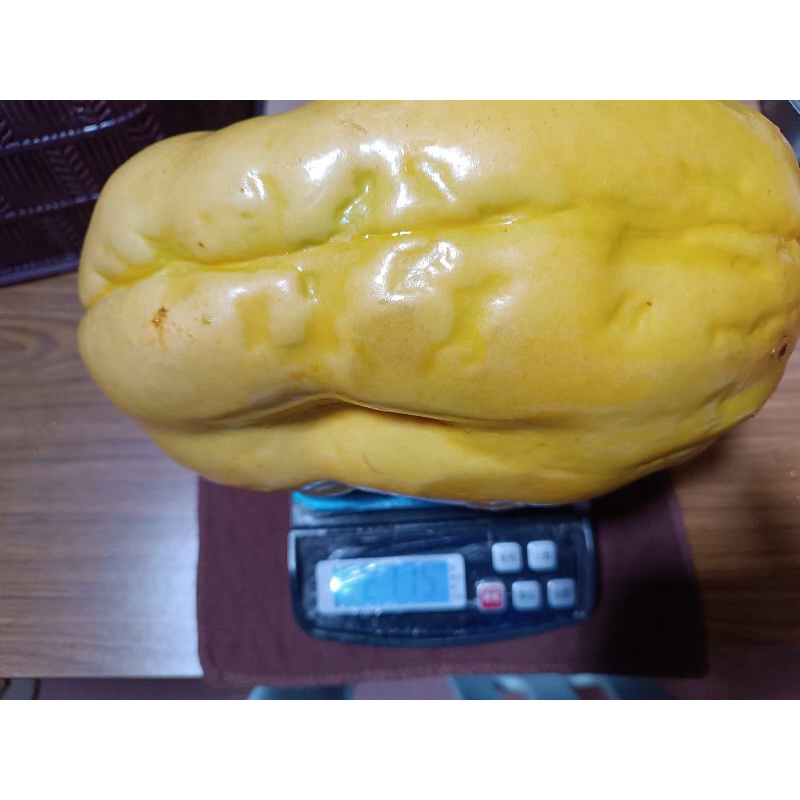 Markisa Jumbo. 5 biji benih. 超级大百香果 5 粒种子 | Shopee Malaysia