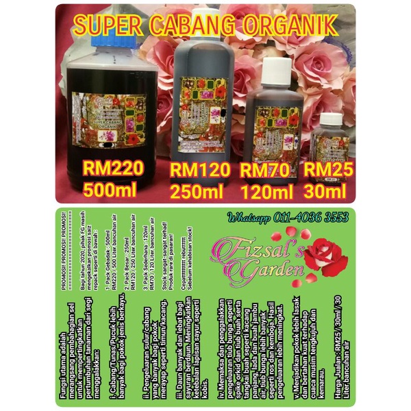 SUPER CABANG (Organik) - cabang pucuk tunas rimbun subur besar sulur ...