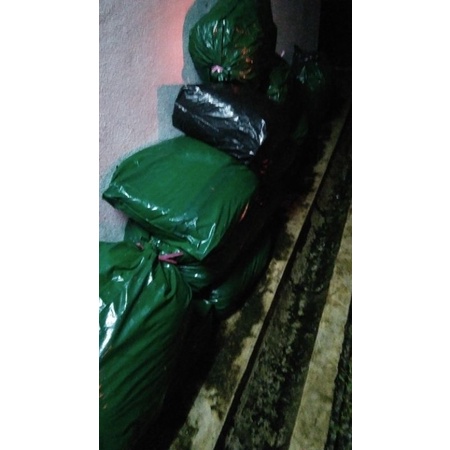 silaj napier 1kg /bag. | Shopee Malaysia