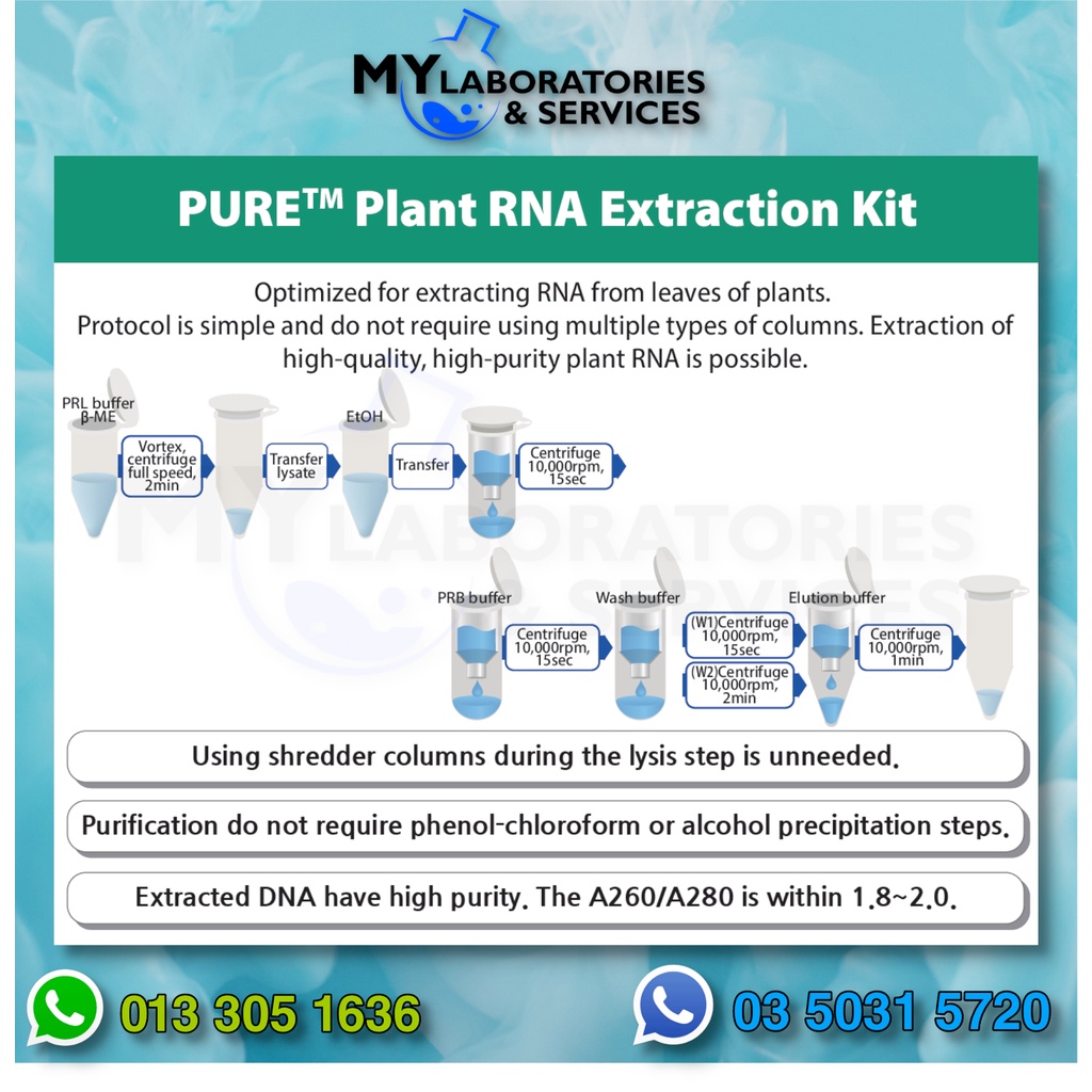 Infusion Tech Pure Plant RNA Extraction Kit 50 preps (PRG811) | Shopee Malaysia