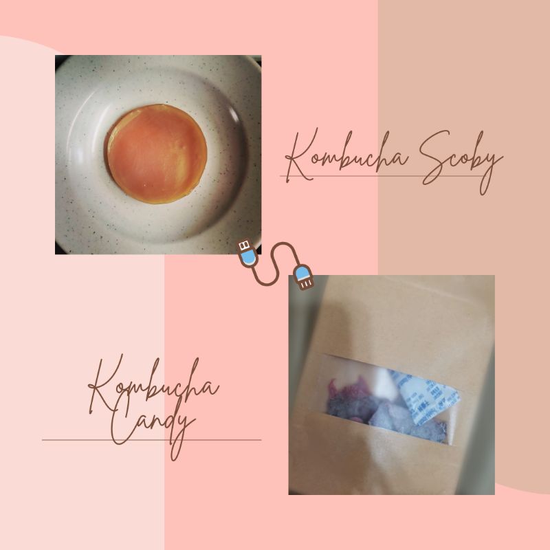 Kombucha Scoby with starter liquid (black tea) + Scoby Candy | Shopee ...