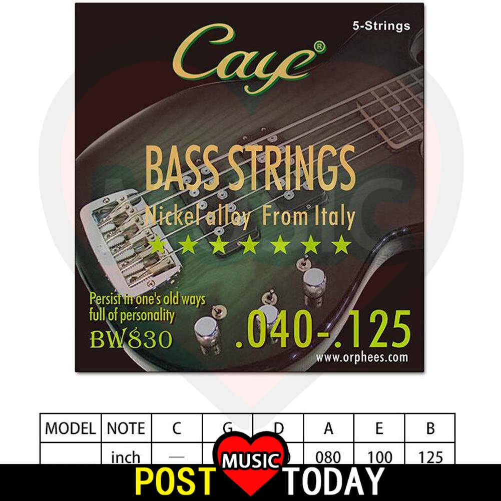CAYE BW830 5-strings 040-125 Bass Strings Hexagonal Steel Core Wire ...