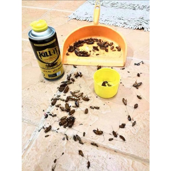 SPRAY HAPUS LIPAS DAN SERANGGA ( KILL IT ) | Shopee Malaysia