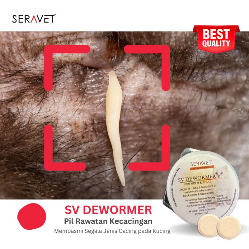 SVDEWORMER™ - Pil Cacing Kucing . Wormnil Pil - 2pcs | Shopee Malaysia