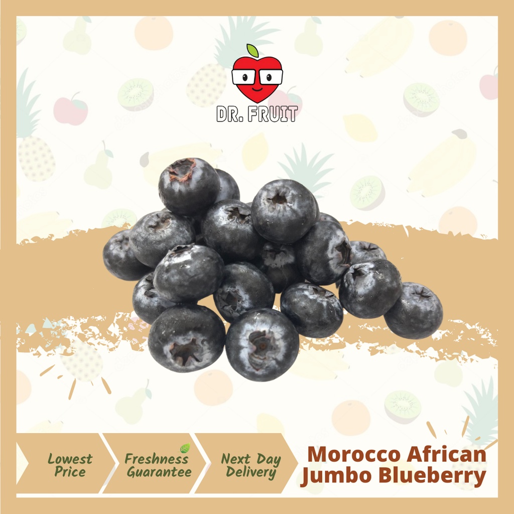 Premium Super Jumbo African Blueberry - 125g/Box 摩洛哥特大蓝莓 | Shopee Malaysia