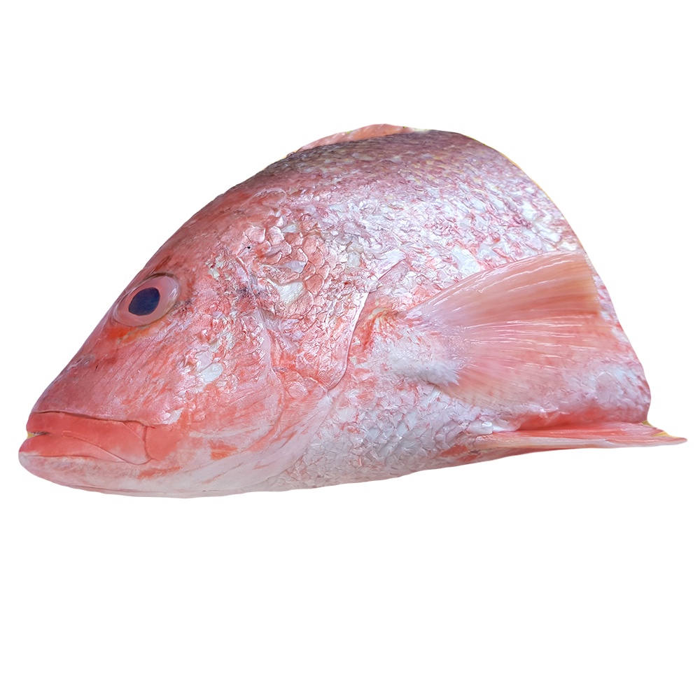 Red Snapper Head 红皂鱼头 | Shopee Malaysia