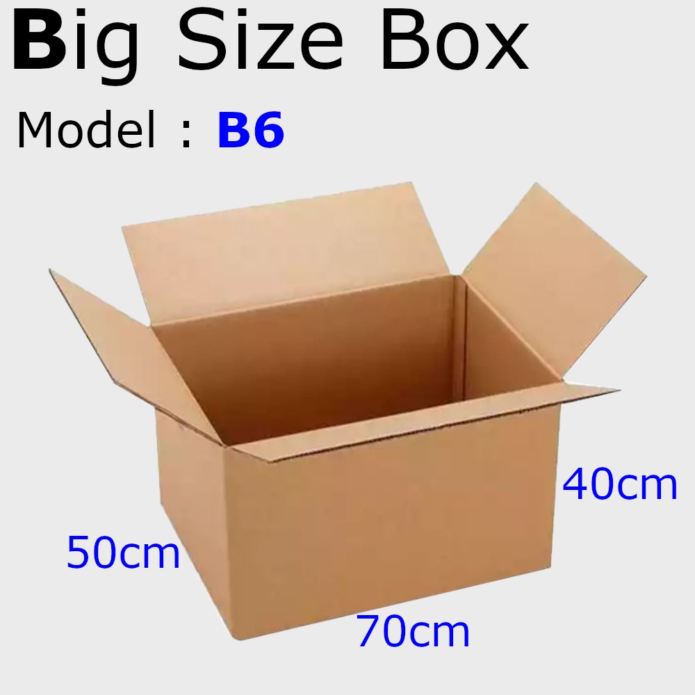 BIG SIZE Carton Box Moving House Packing Box Packaging Box Kotak Besar ...