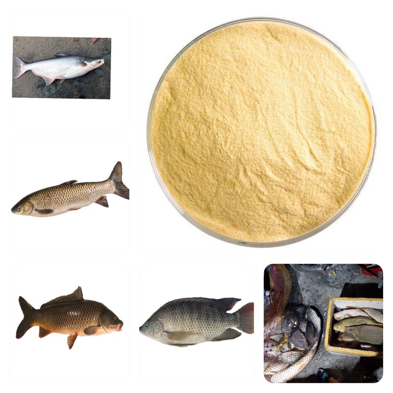 Buttermilk scented powder (main ingredient of fragrant powder) | Shopee ...