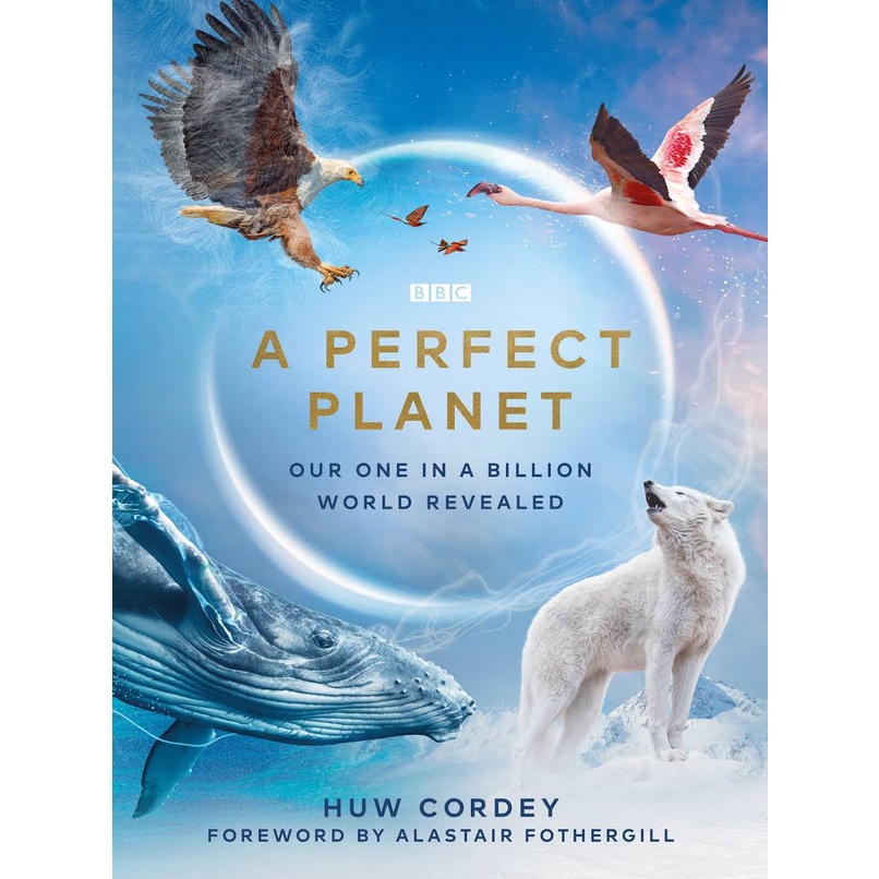 Blu-ray English Documentary : A Perfect Planet 2021 ‧ Nature ...
