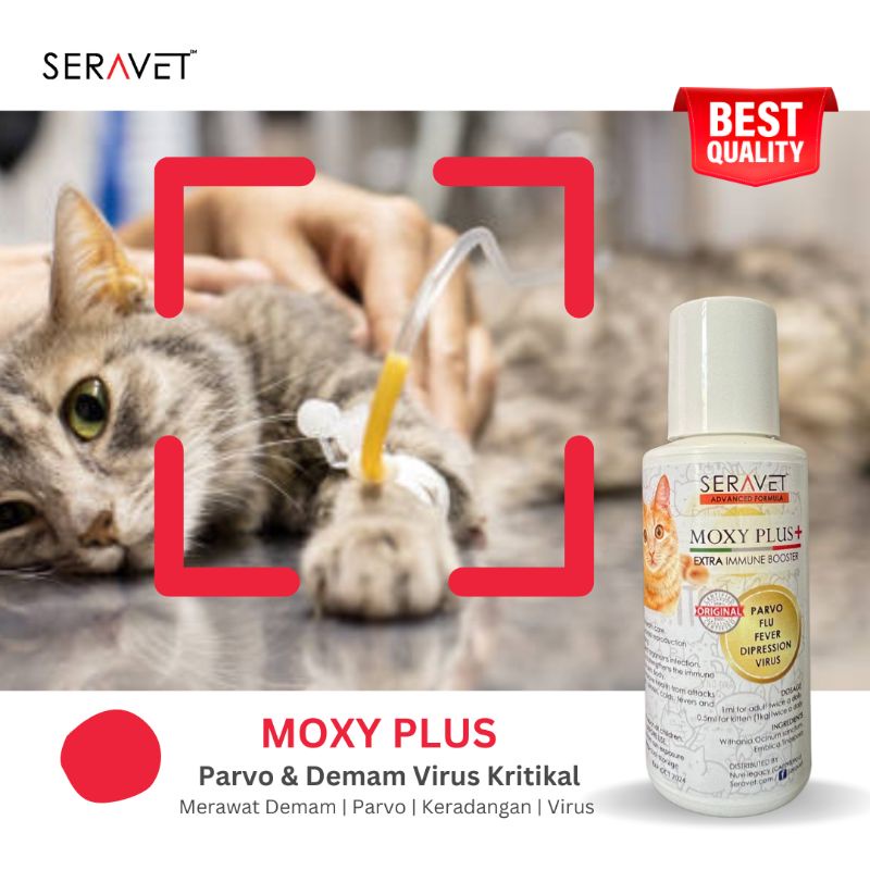 MOXY PLUS - RAWATAN KUCING DEMAM . PARVO . SELSEMA . ANTIVIRUS ...