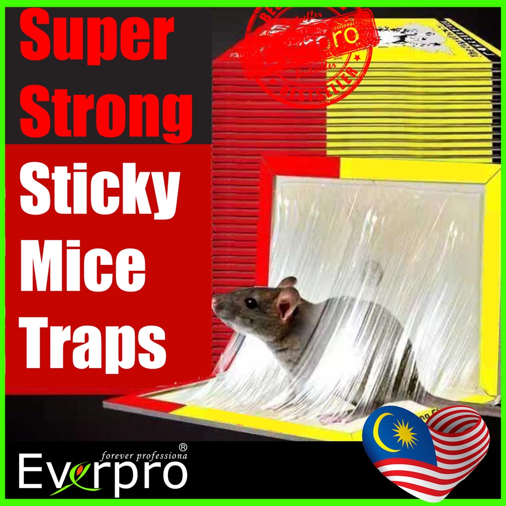 Mouse Glue Traps with Enhanced Stickiness, Rat Mouse Traps Stick Card ...