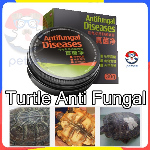 PETSEE 真菌膏 真菌膏乌龟 真菌净 Turtle Anti Fungal Medicine Fungus Antifungal ...