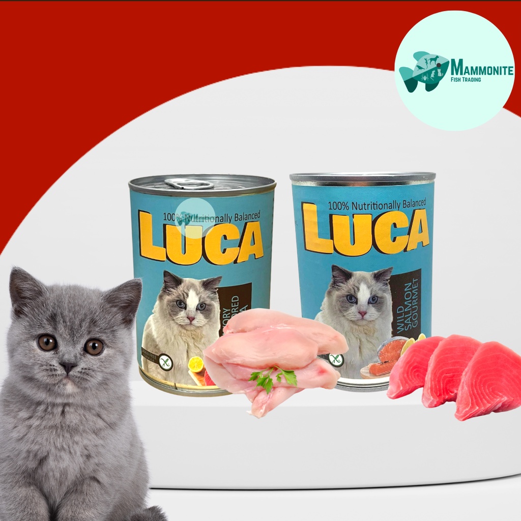 Pet Cat Luca Flavored Savory Tuna Canned Food Snack 375g | Shopee Malaysia